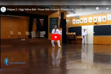 Taekwondo Palgwae two "Ee Jang" Hi-Yellow Belt Form | Power with Purpose